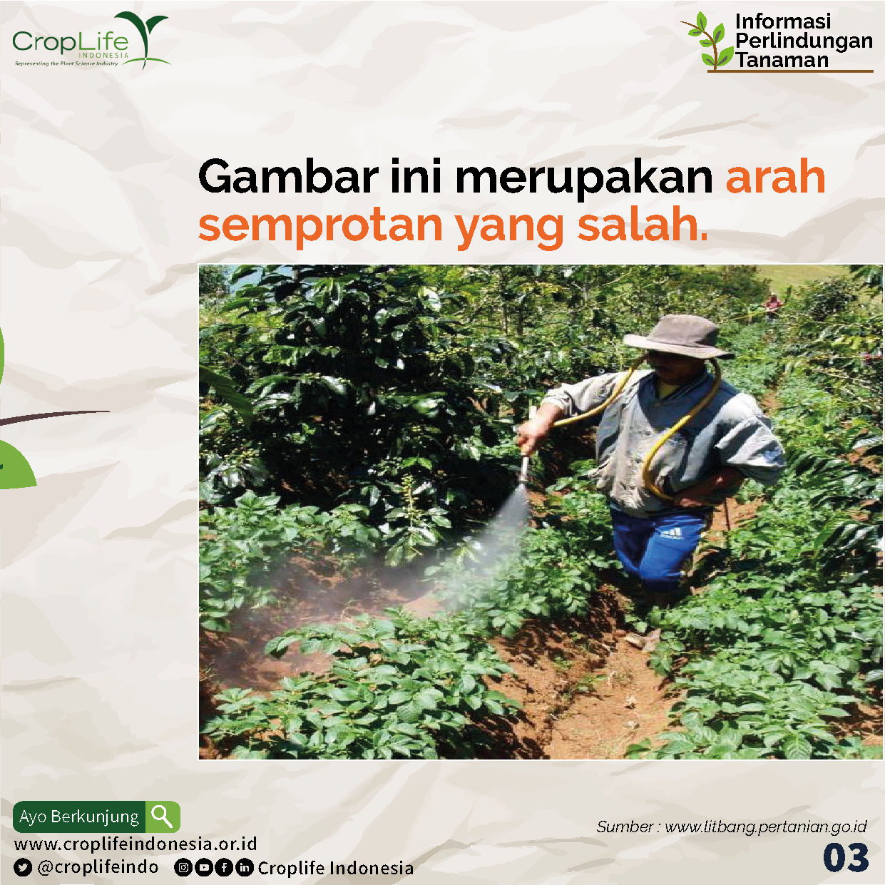 Arah Semprotan Produk Perlindungan Tanaman yang Benar – CropLife Indonesia