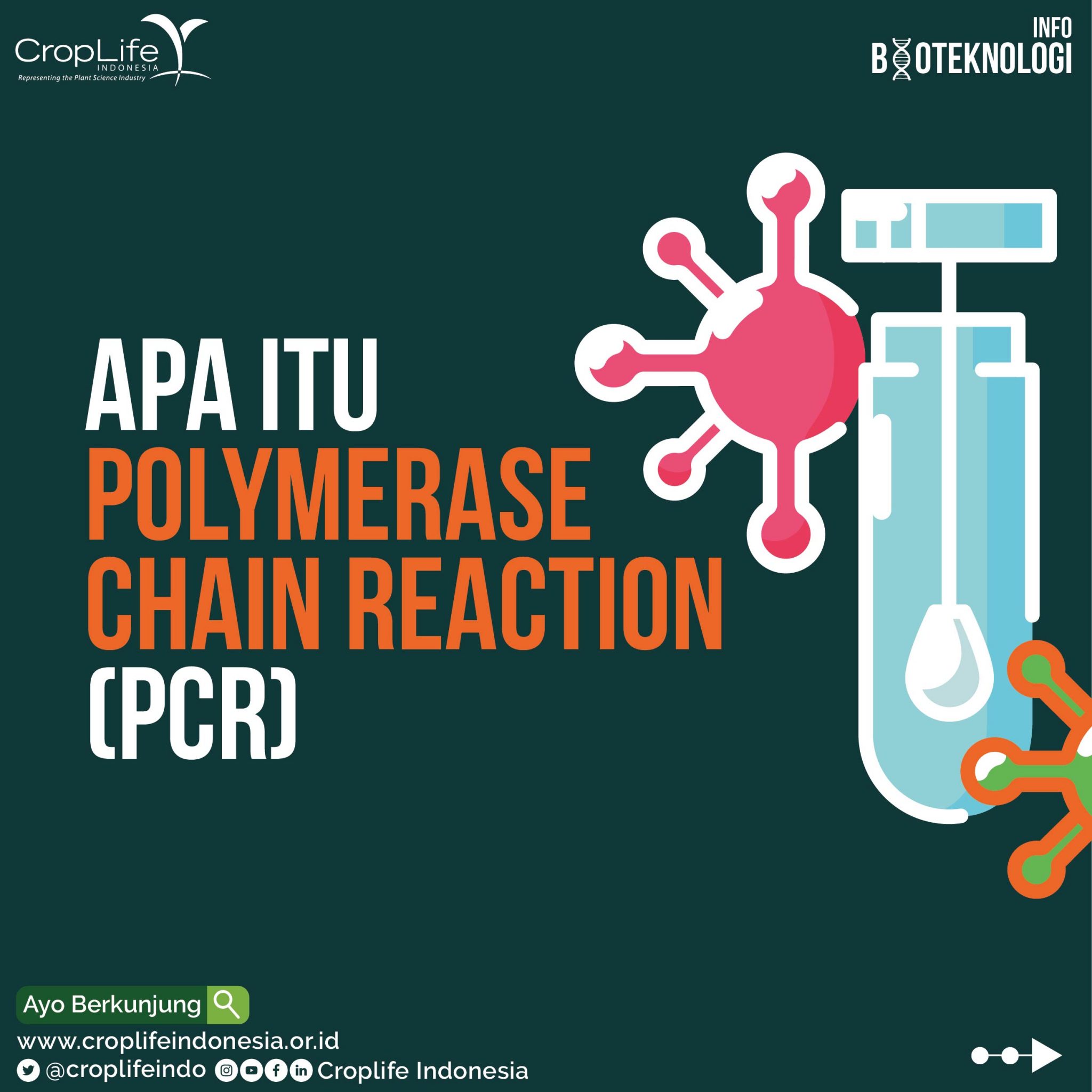Apa itu Polymerase Chain Reacton (PCR) – CropLife Indonesia