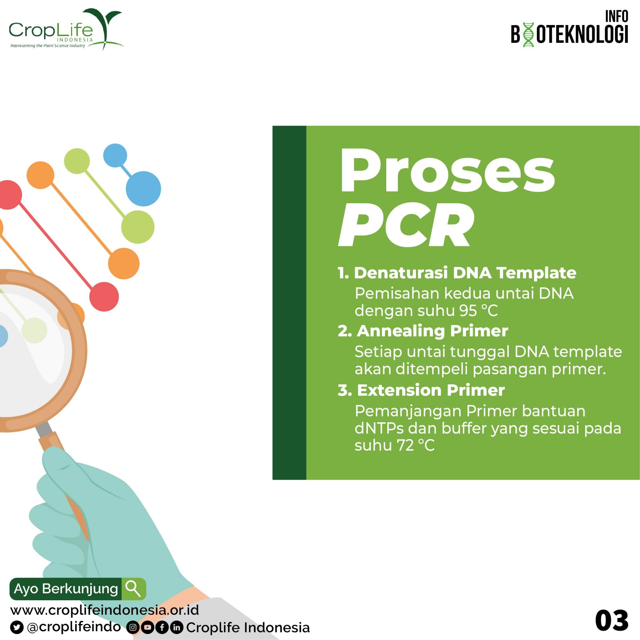 Apa itu Polymerase Chain Reacton (PCR) – CropLife Indonesia