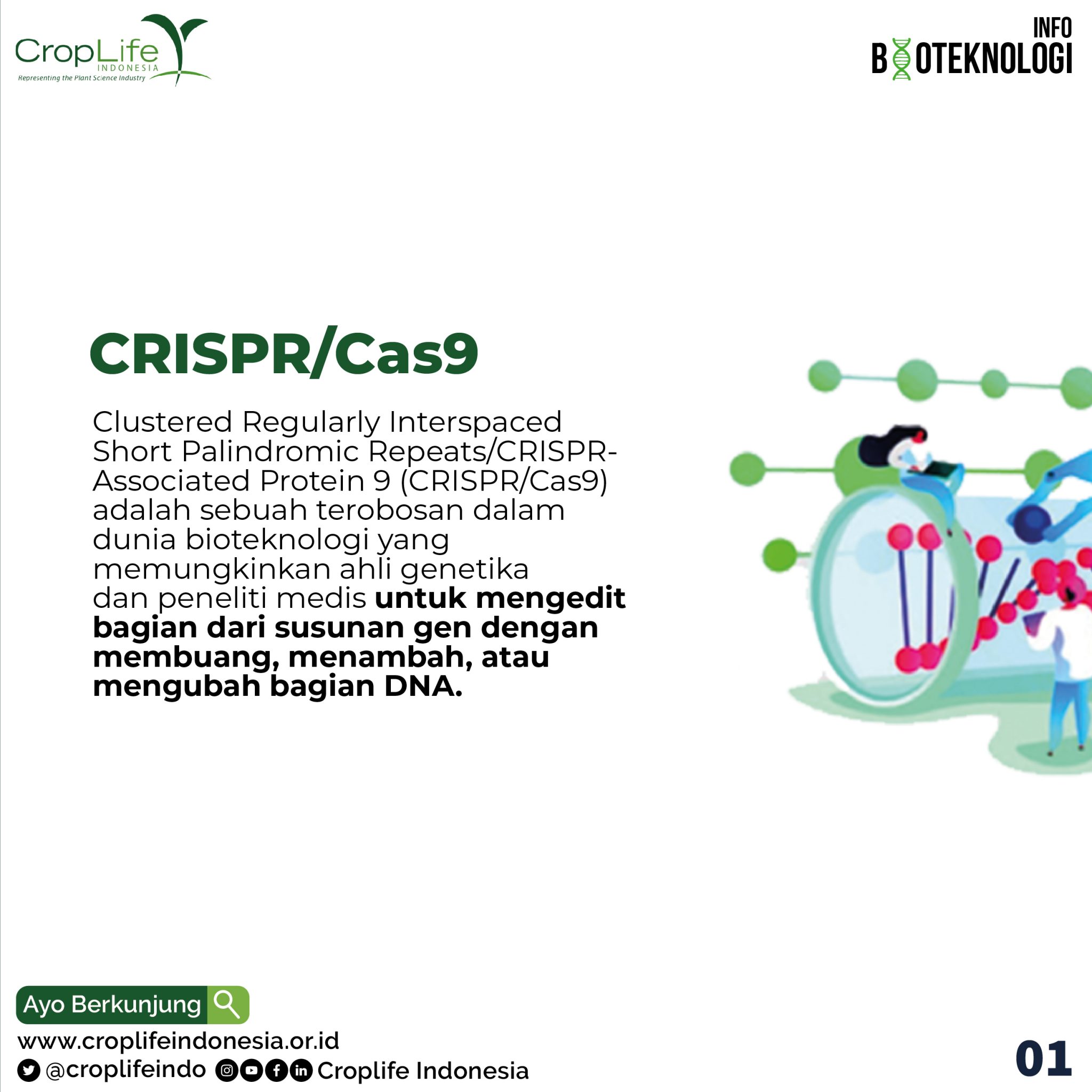 Teknologi CRISPR – 9 dalam Bioteknologi – CropLife Indonesia