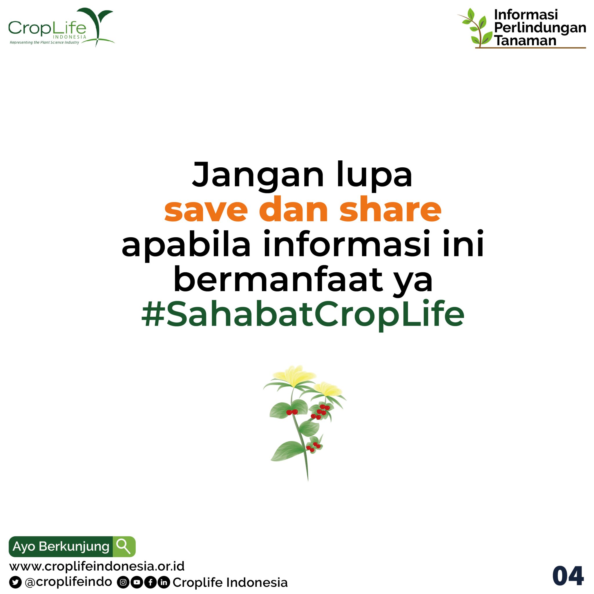 Informasi Penting yang Terdapat Pada Label Pestisida – CropLife Indonesia