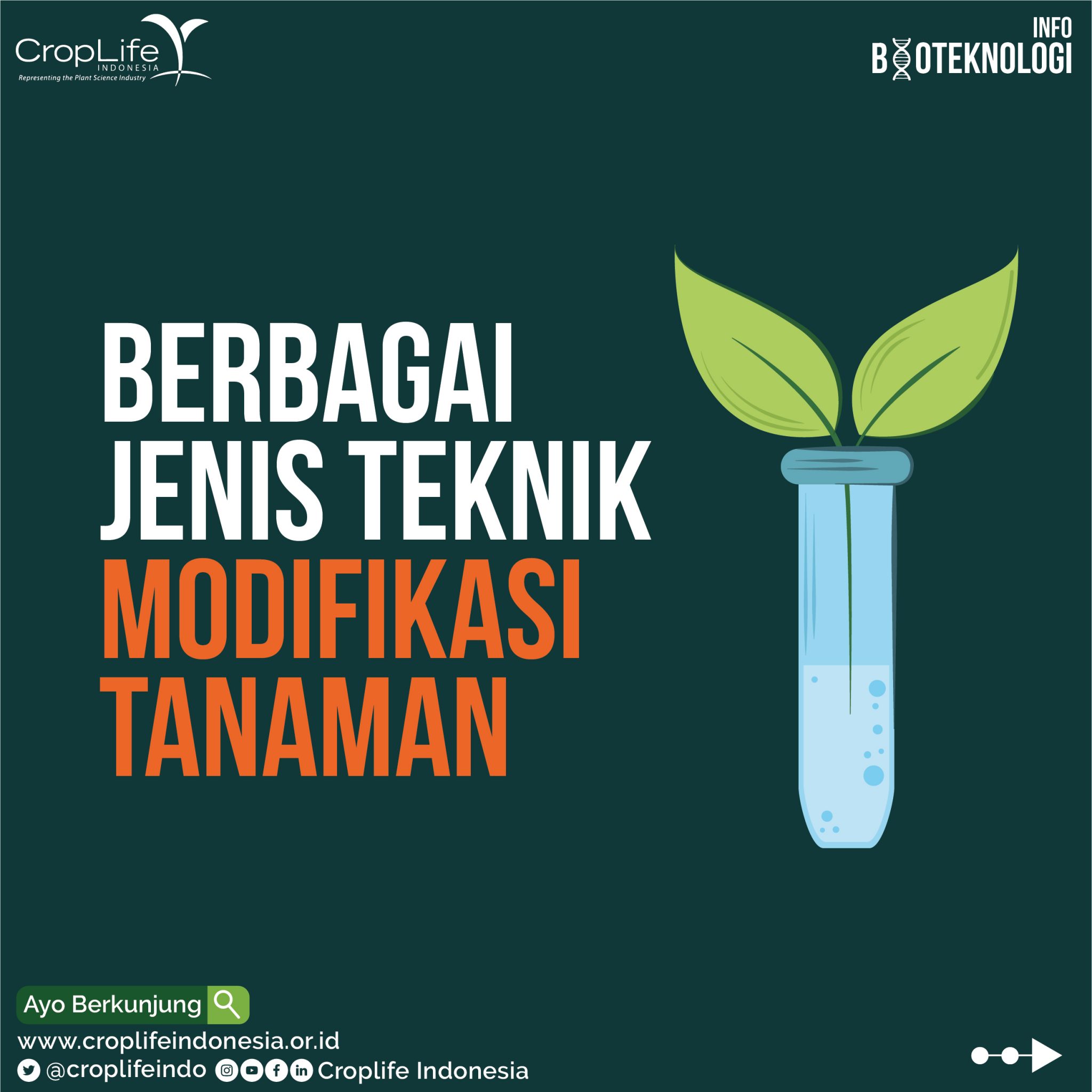 Jenis – Jenis Modifikasi Tanaman – CropLife Indonesia