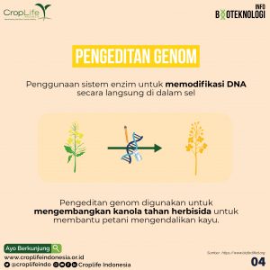 Jenis – Jenis Modifikasi Tanaman – CropLife Indonesia