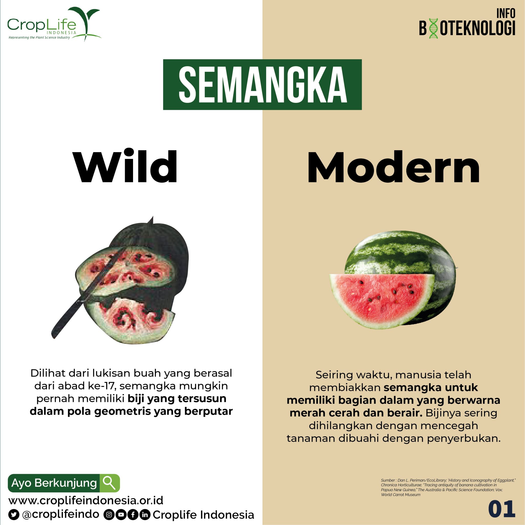 Tanaman Pertanian yang Telah di Domestikasi – CropLife Indonesia