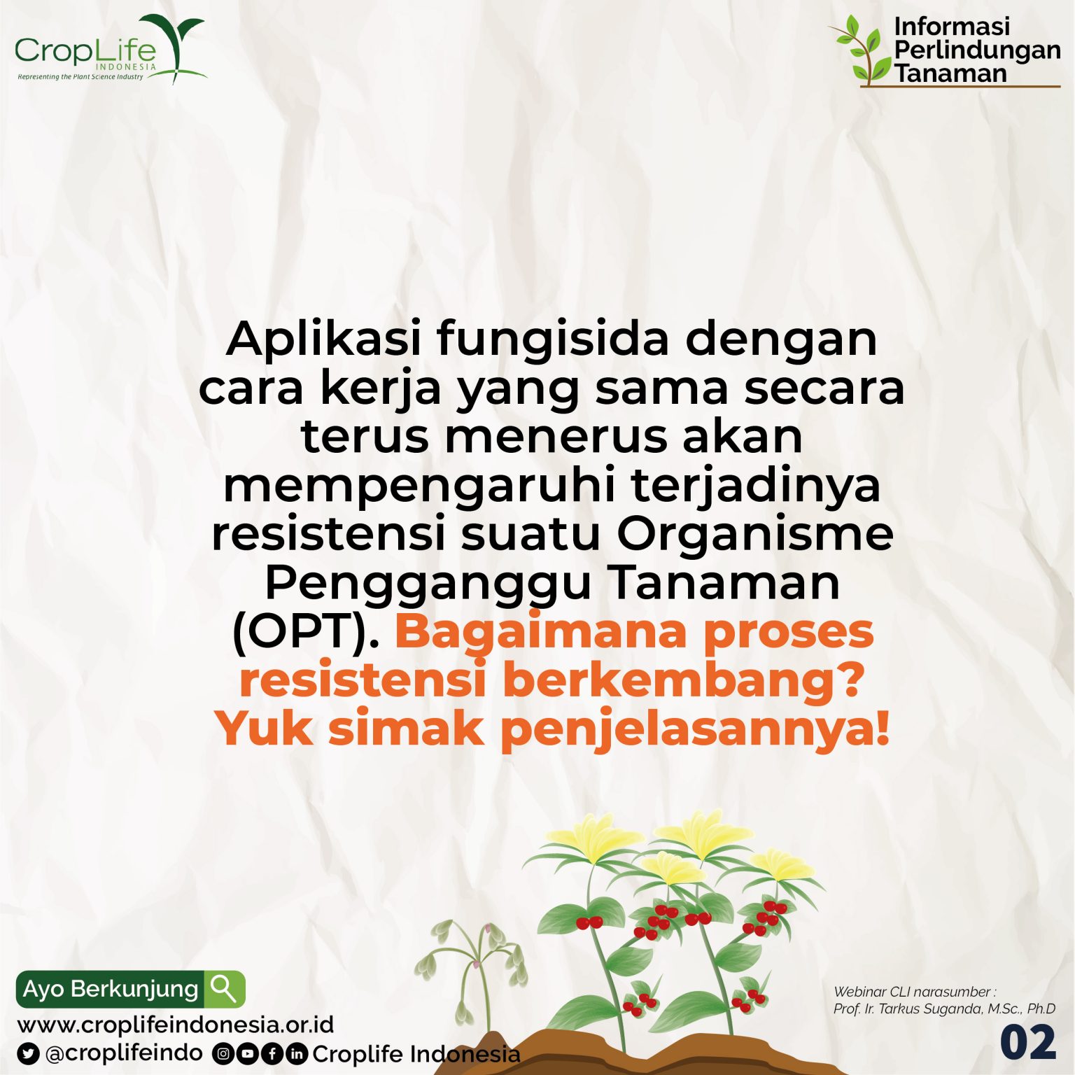 Bagaimana Proses Pembusukan Tanaman Terbentuk Dengan Proses Resisten ...