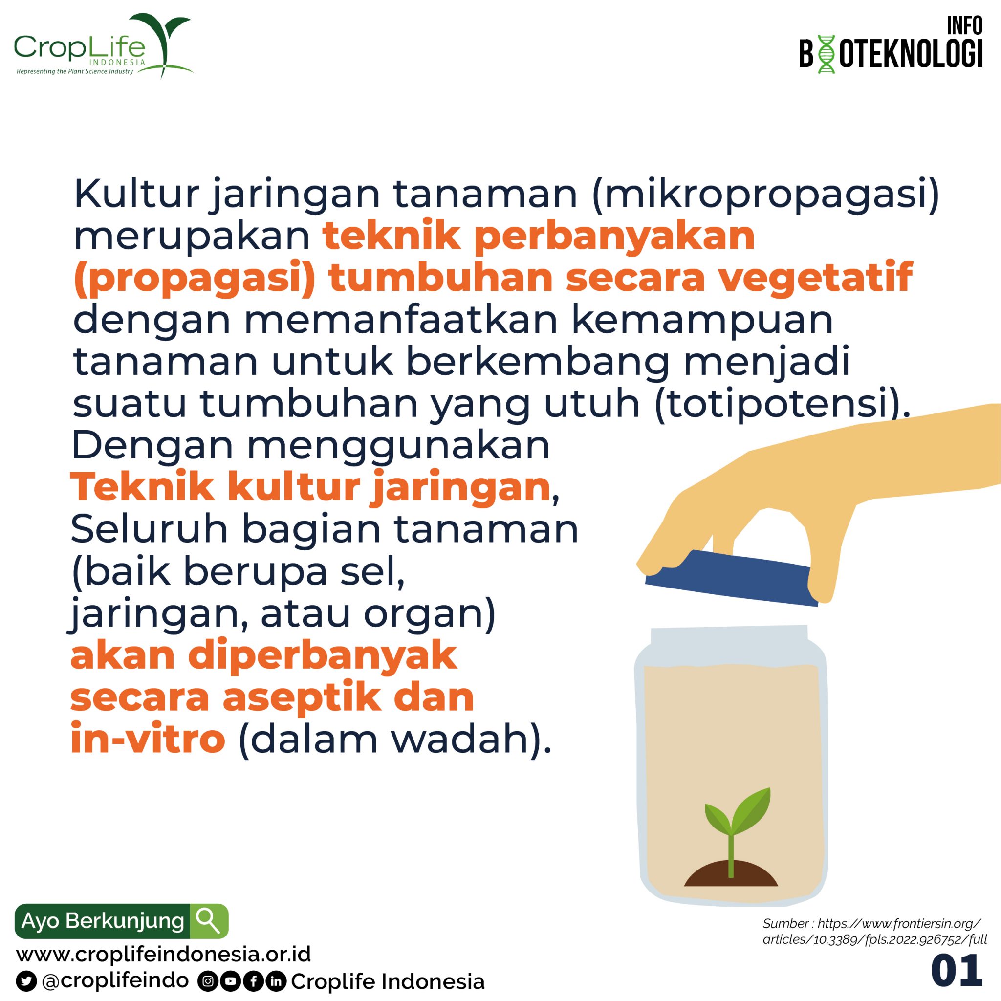 Regenerasi Tanaman dengan Kultur Jaringan – CropLife Indonesia