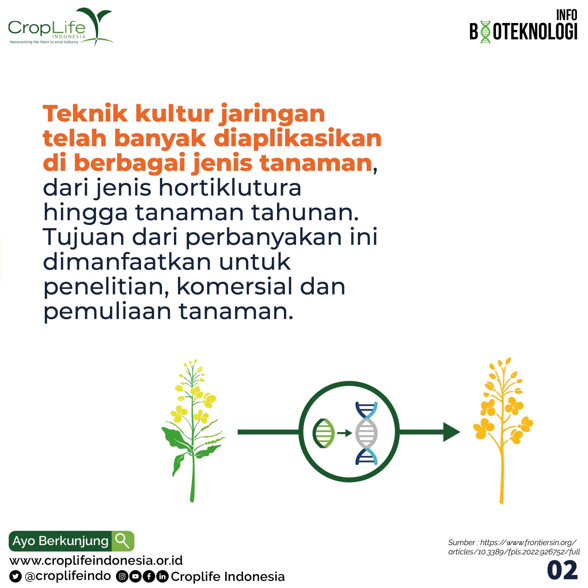 Regenerasi Tanaman dengan Kultur Jaringan – CropLife Indonesia