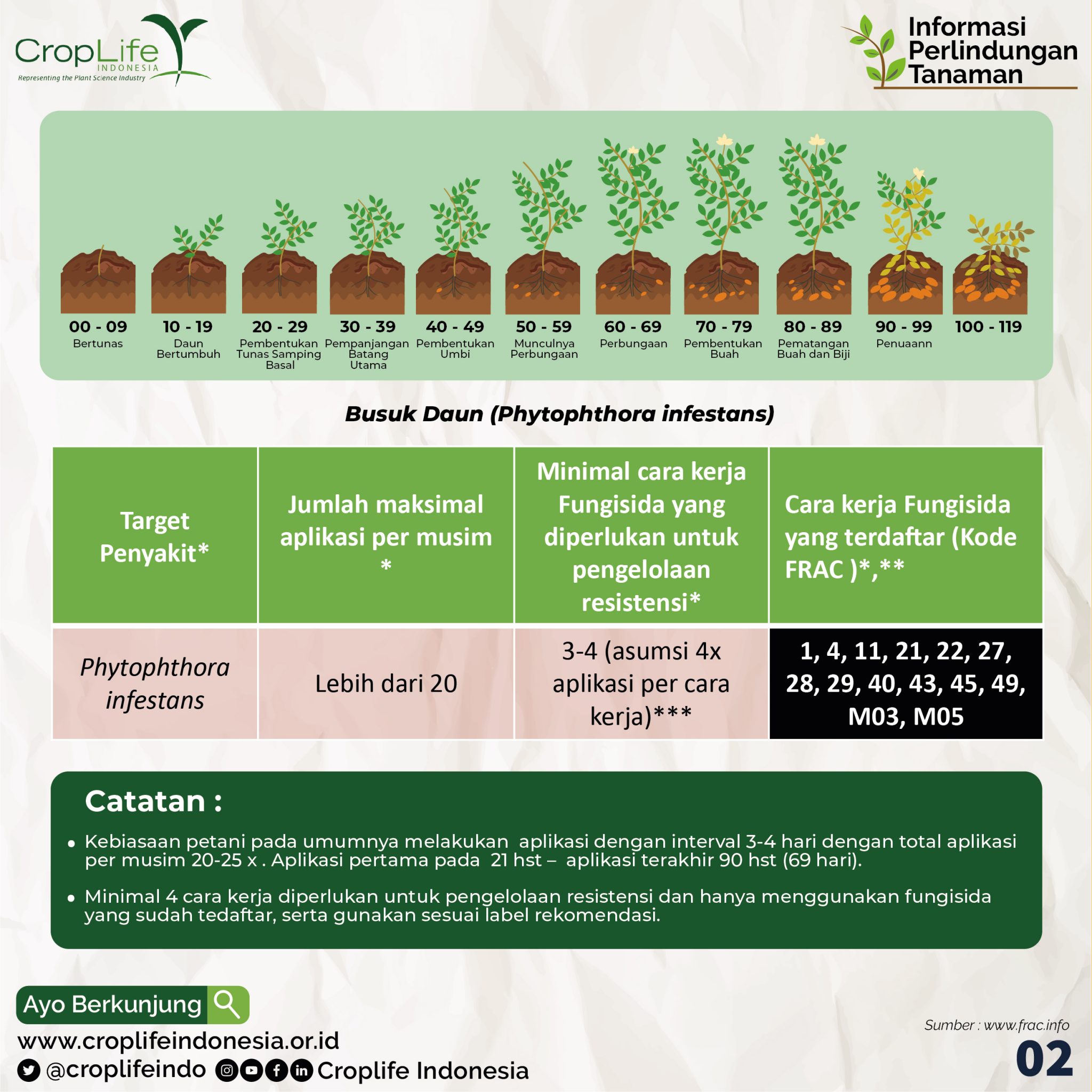 Pengelolaan Resistensi Tanaman Kentang – CropLife Indonesia