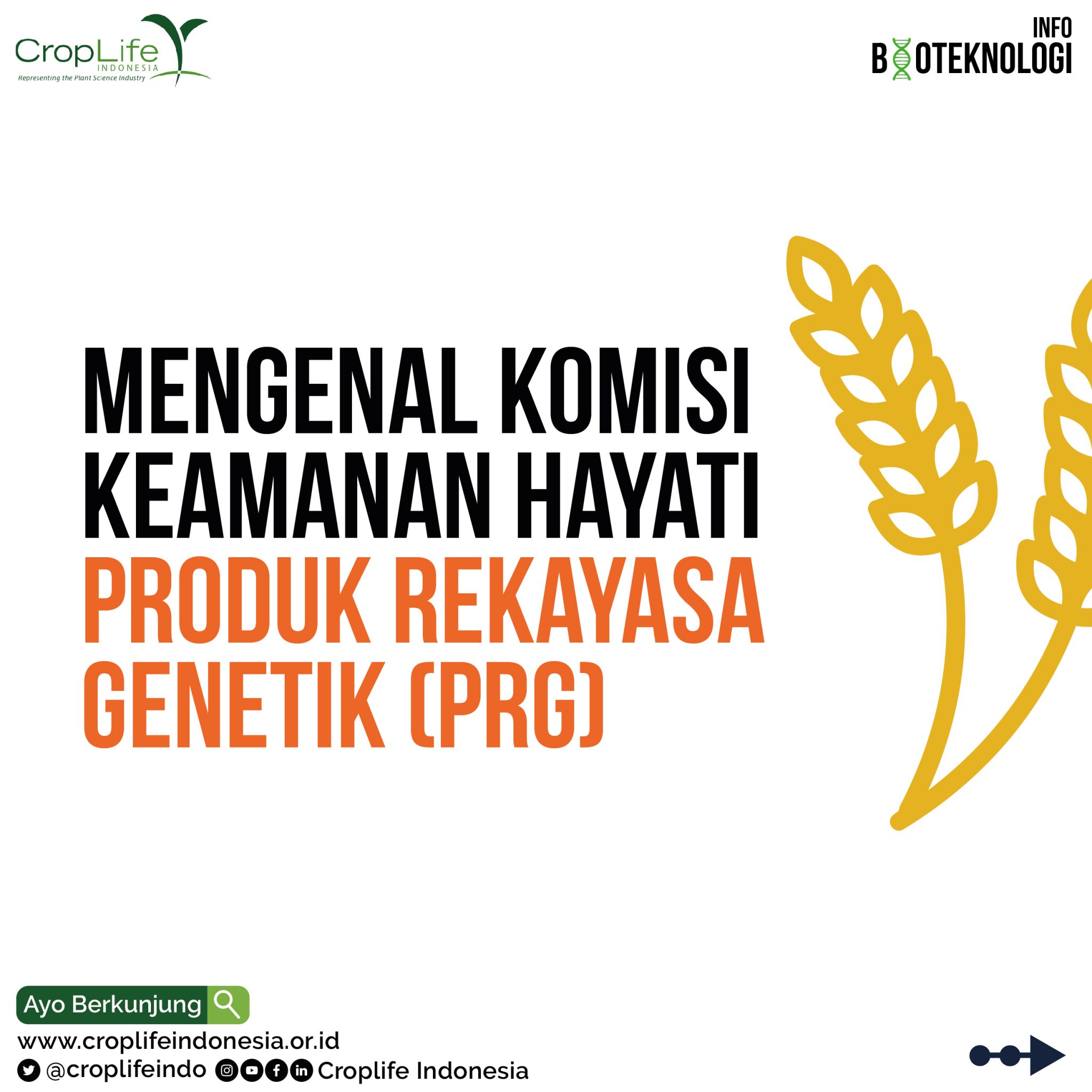 Mengenal Komisi Keamanan Hayati Produk Rekayasa Genetik (PRG ...