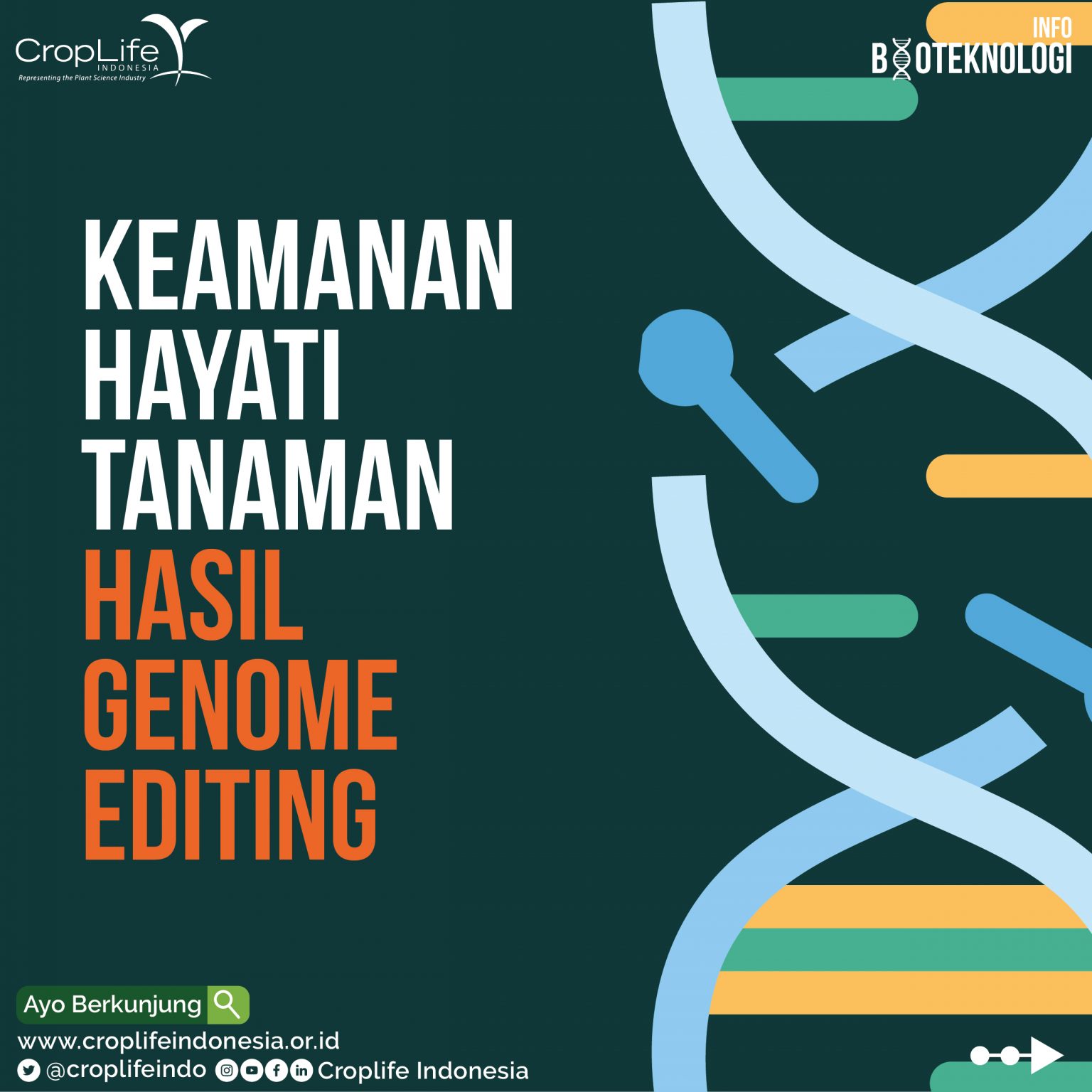 Keamanan Hayati Tanaman Hasil Genome Editing – CropLife Indonesia