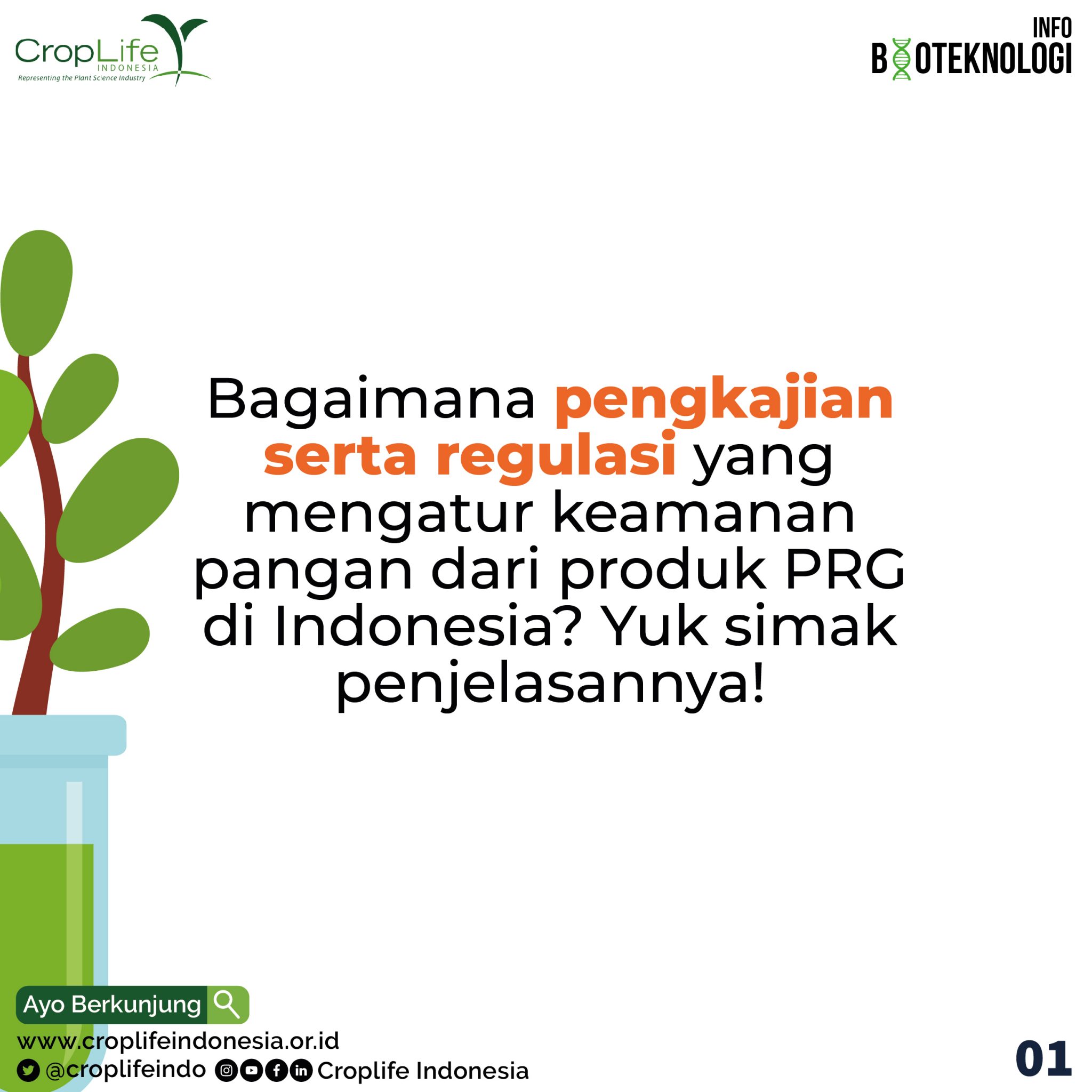 Bagaimana Keamanan Pangan Produk Rekayasa Genetik – CropLife Indonesia