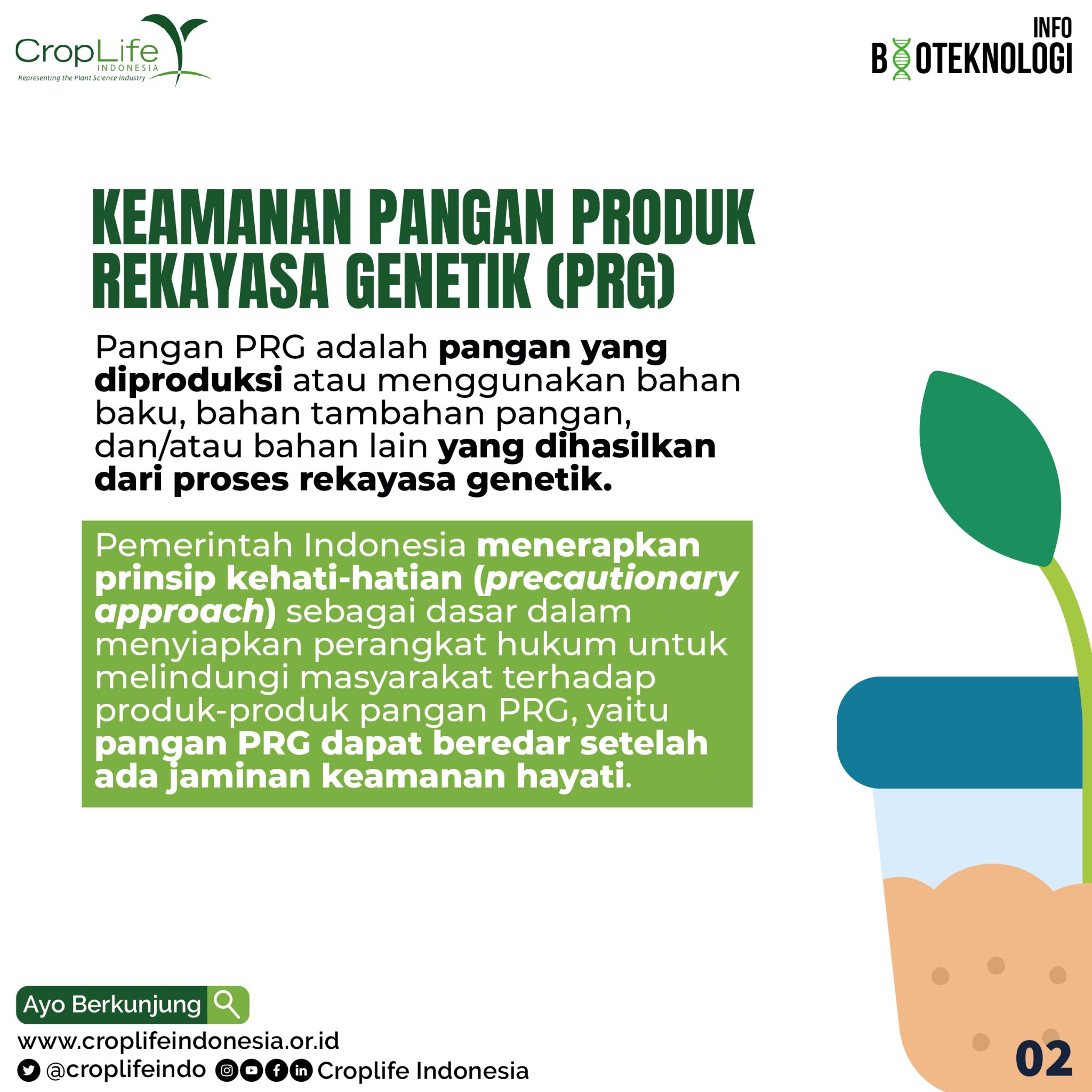 Bagaimana Keamanan Pangan Produk Rekayasa Genetik – CropLife Indonesia