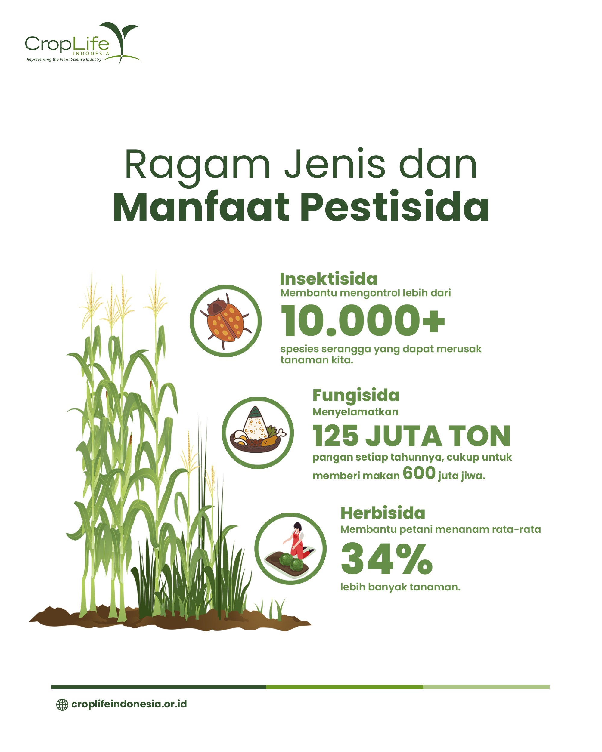 Fakta Unik Pertanian : Jenis Pestisida – CropLife Indonesia