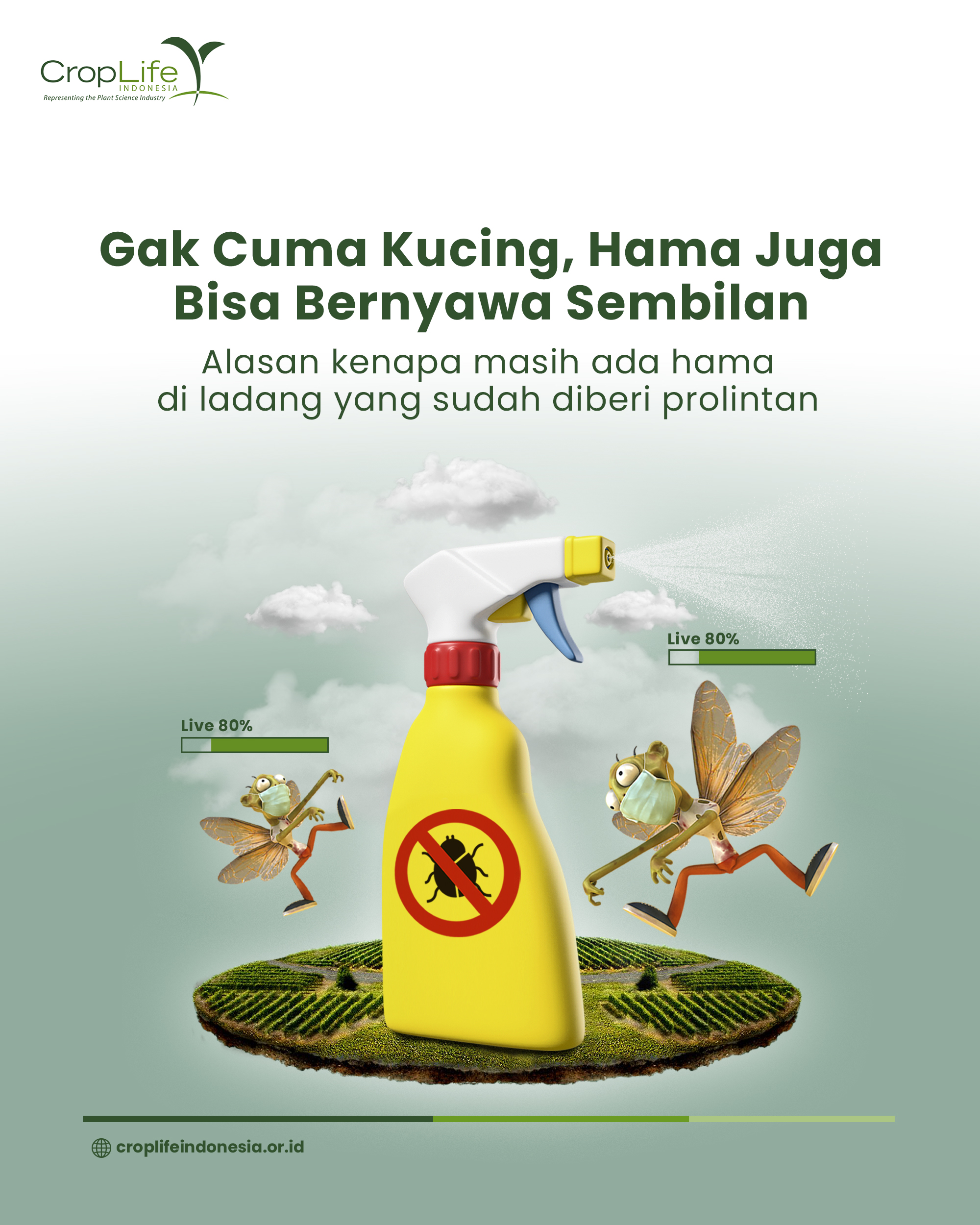 Alasan Mengapa Kenapa Ada Hama di Ladang yang Sudah Diberi Prolintan ...