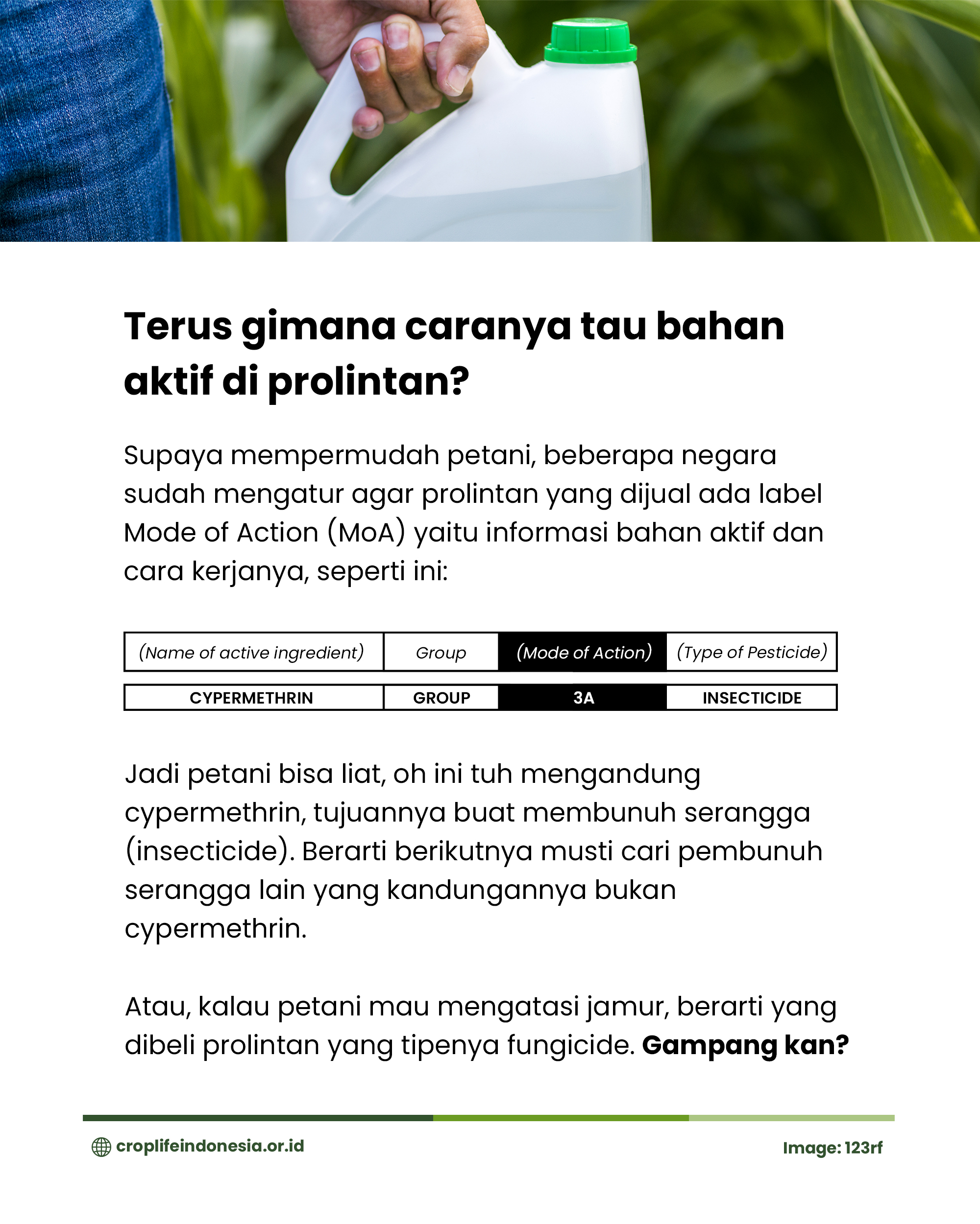 Alasan Mengapa Kenapa Ada Hama di Ladang yang Sudah Diberi Prolintan ...