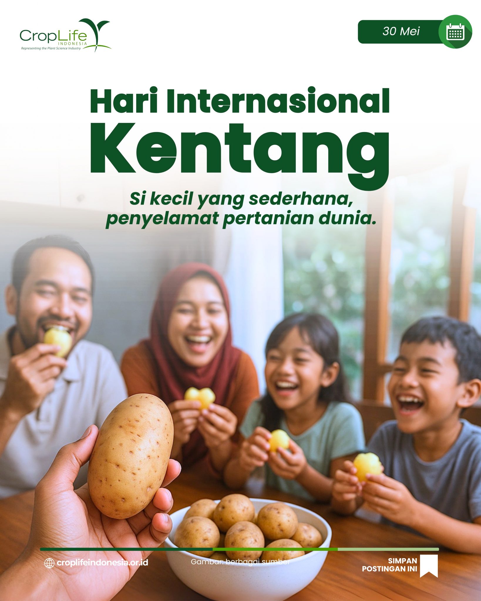Kentang dan Peran Strategisnya dalam Ketahanan Pangan Dunia – CropLife ...