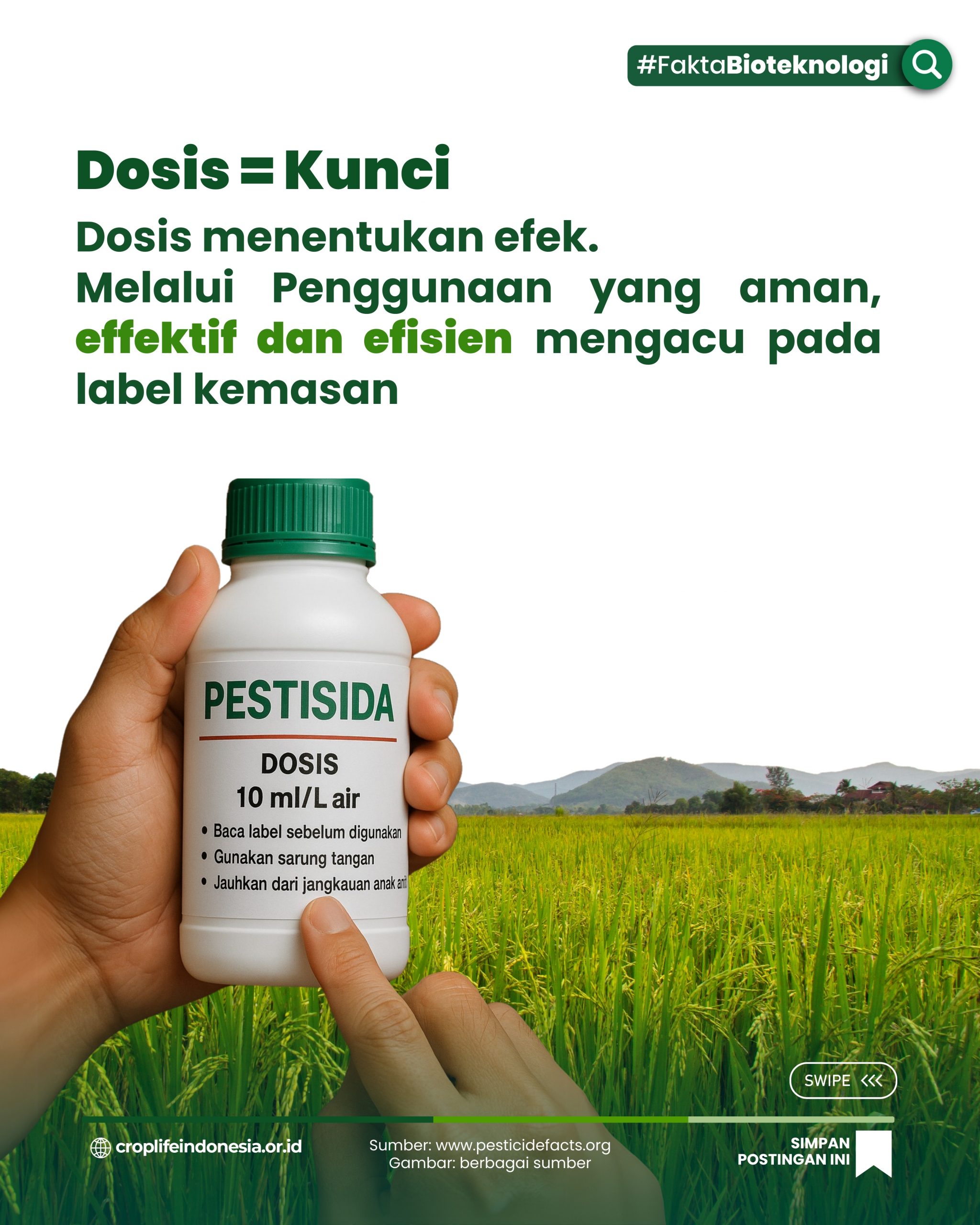 Apakah Prolintan Berbahaya Bagi Manusia? Ini Fakta yang Perlu Kamu Tahu ...