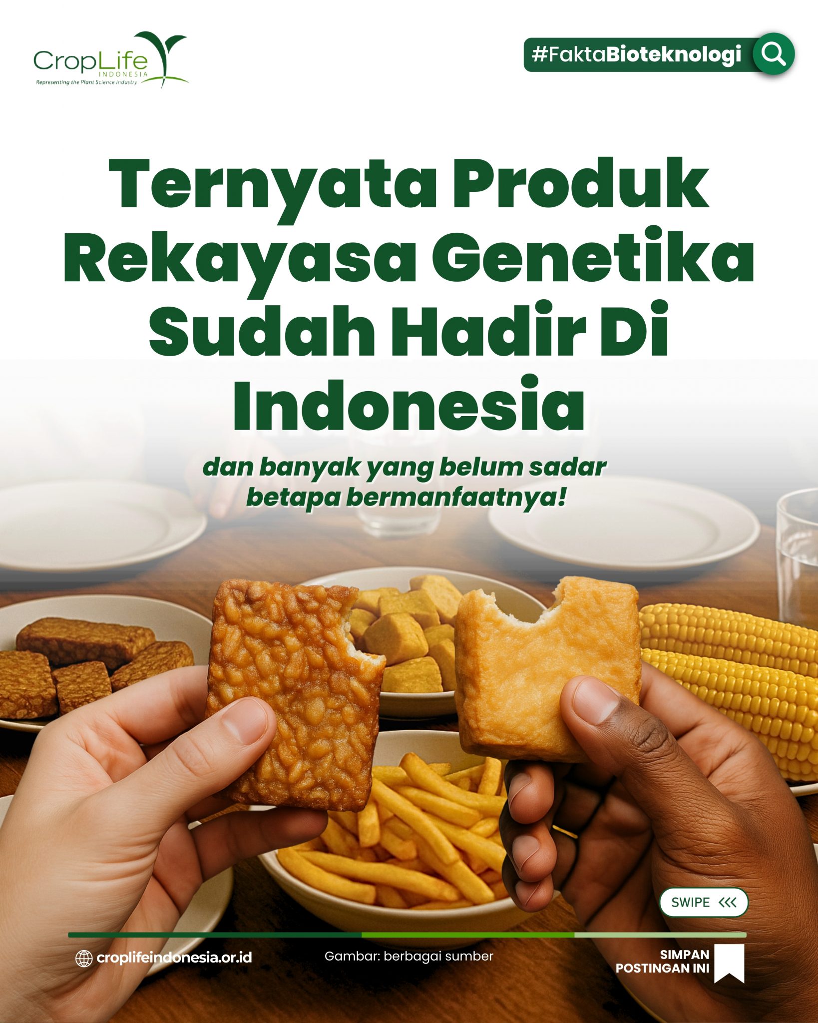 Jagung, Kentang, hingga Kedelai: Produk Rekayasa Genetika (PRG/GMO ...