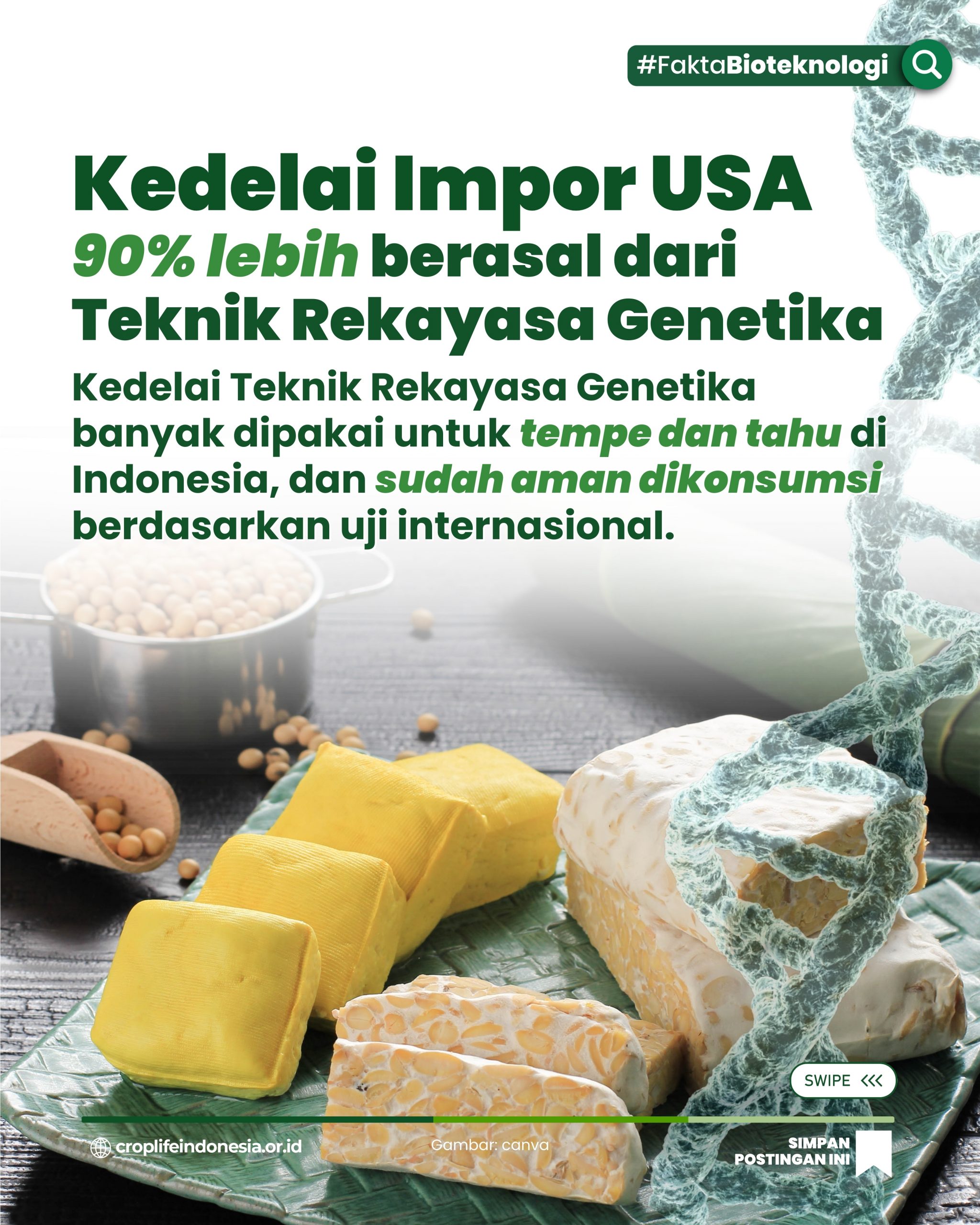 Jagung, Kentang, hingga Kedelai: Produk Rekayasa Genetika (PRG/GMO ...