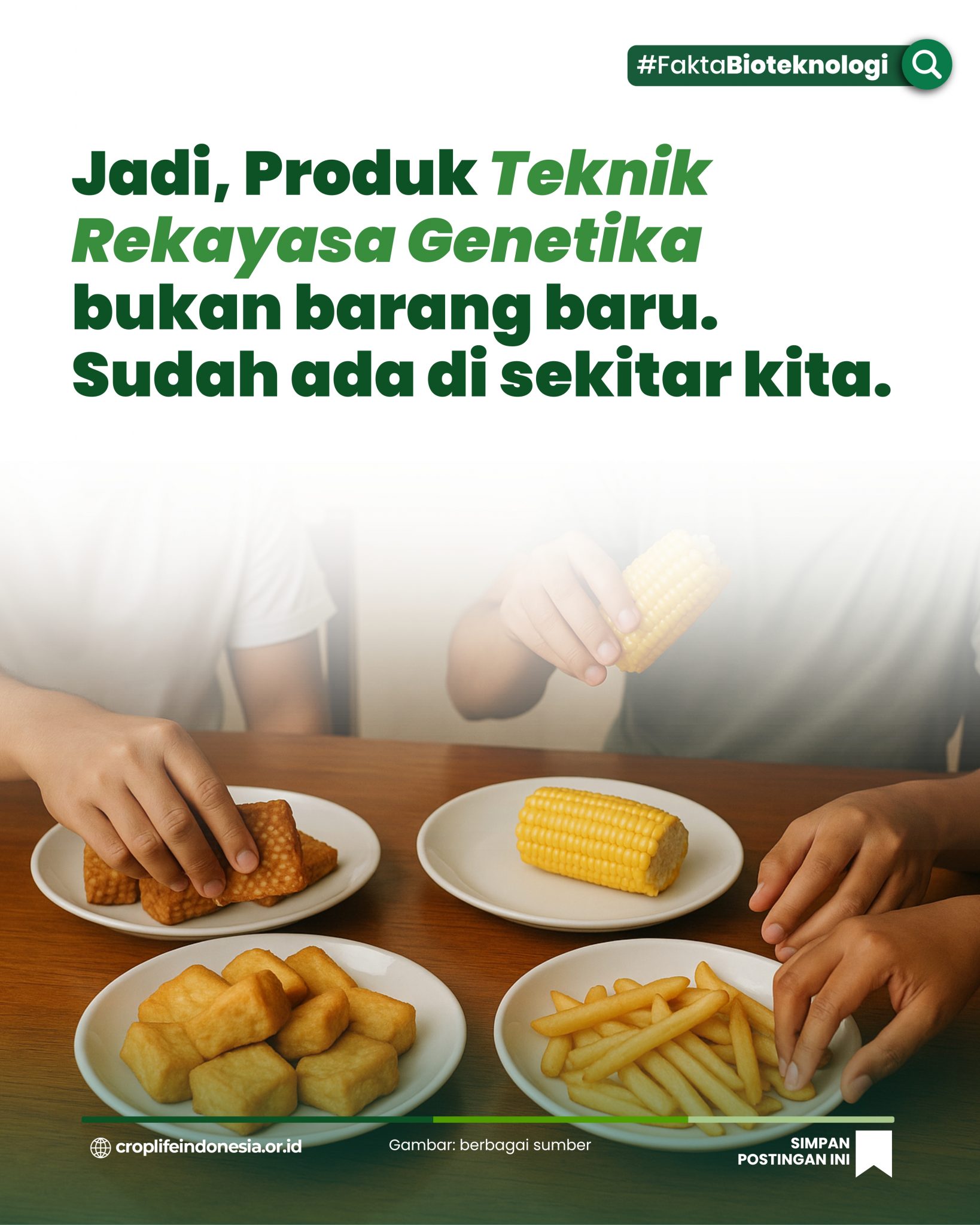 Jagung, Kentang, hingga Kedelai: Produk Rekayasa Genetika (PRG/GMO ...