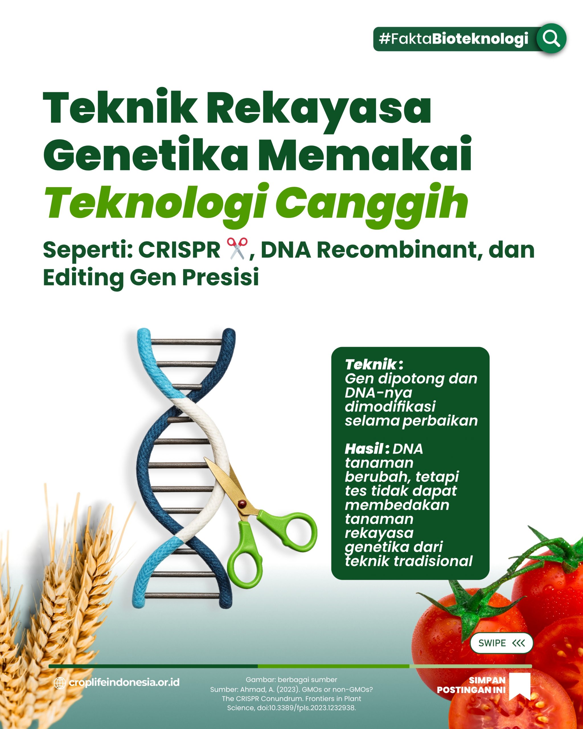 Teknik Rekayasa Genetika vs GMO: Mengurai Miskonsepsi dan Fakta di ...
